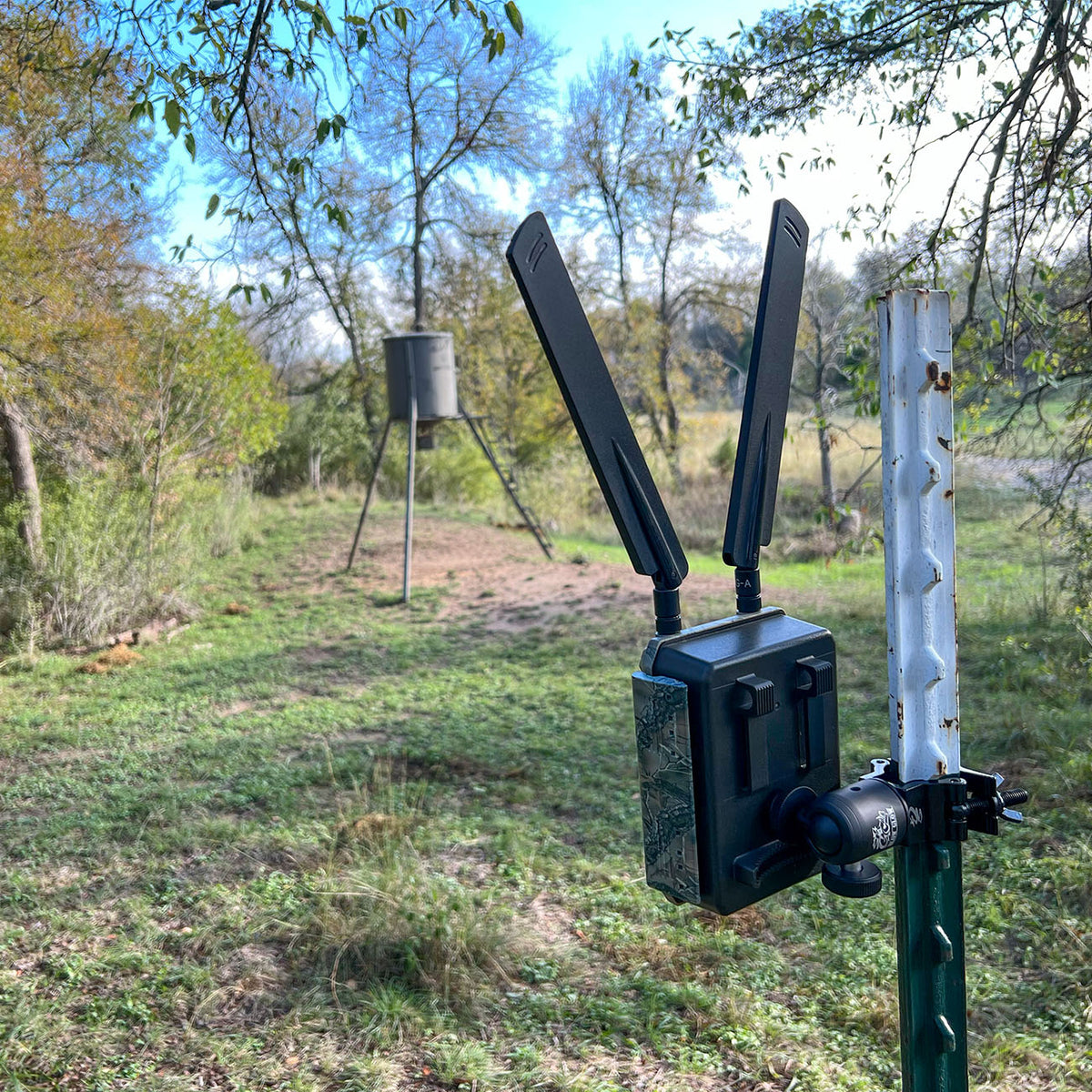 T-Post Trail Camera Mount