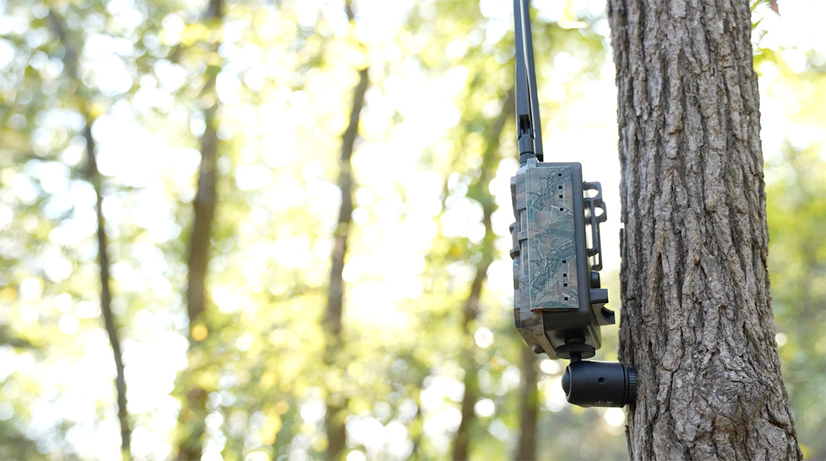 Trail Camera Tree Mount